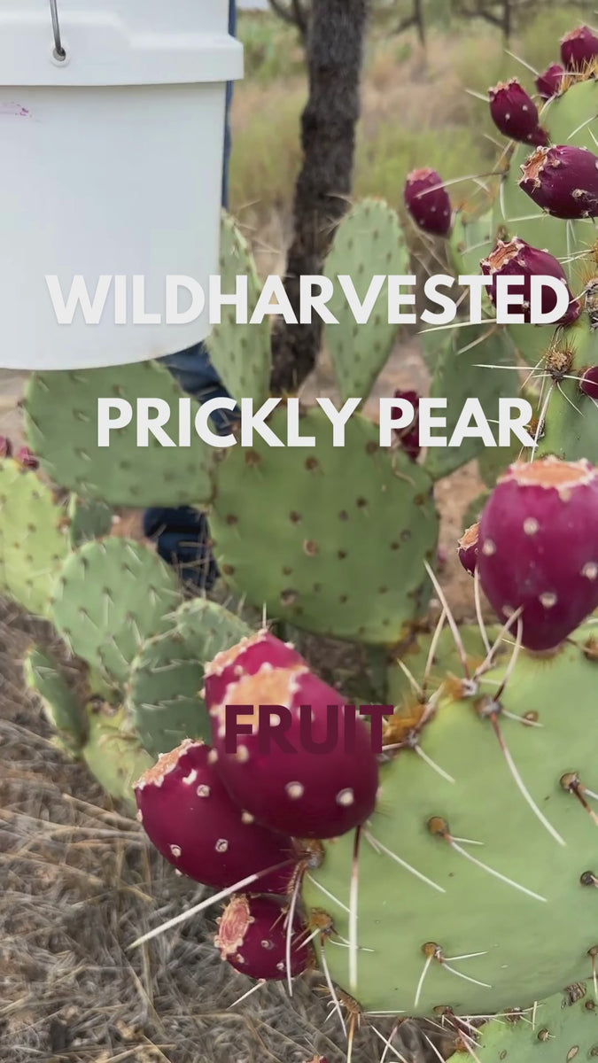 Prickly Pear Fruit Juice Concentrate, 12fl oz – Desert Tortoise Botanicals
