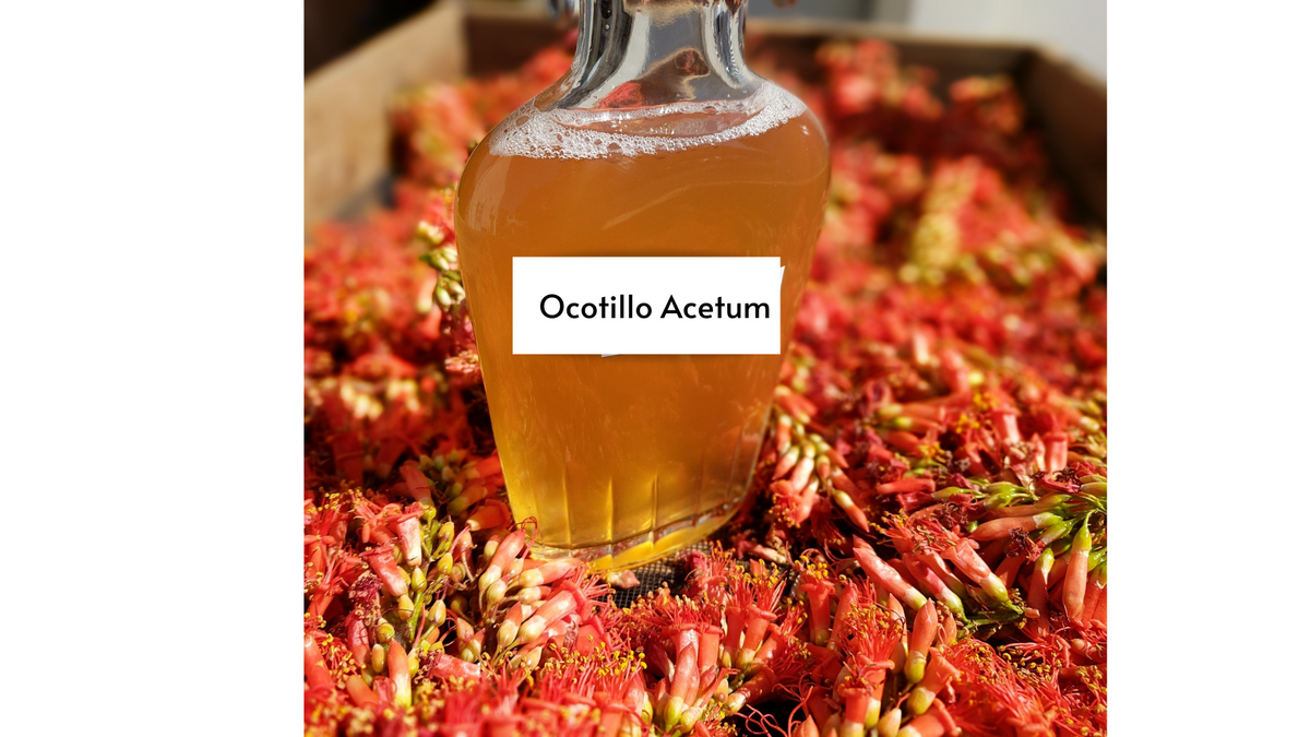 Ocotillo Acetum – Desert Tortoise Botanicals